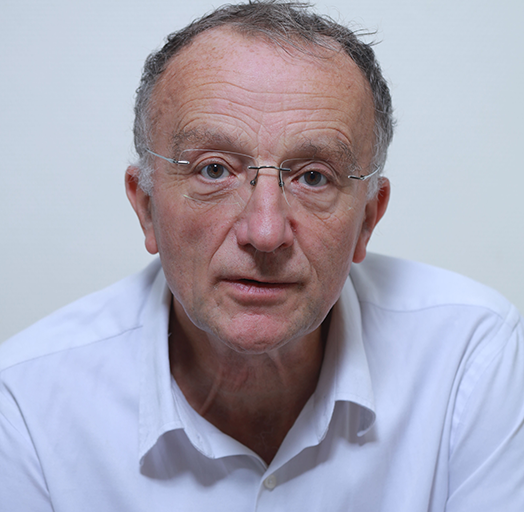 Alain Blum - In our researchers’ own words - Demographic fact sheets ...